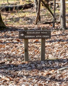 Morrow Mountain State Park - Steph Purk