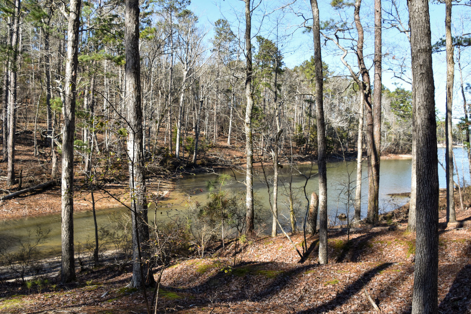 3-Mile Trail – Elijah Clark State Park - Steph Purk