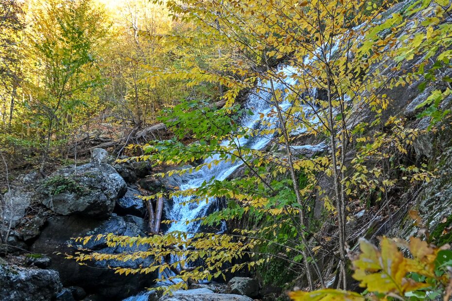 Crabtree Falls: A Cascading Virginia Waterfall - Steph Purk